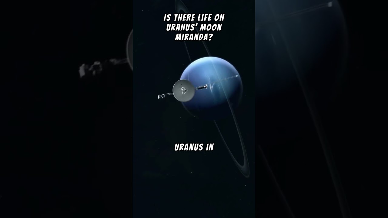 Uranus' Moon Miranda: Potential for Alien Life
